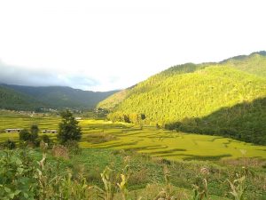 Chitlang | Organic Village in Nepal - Hiking Annapurna